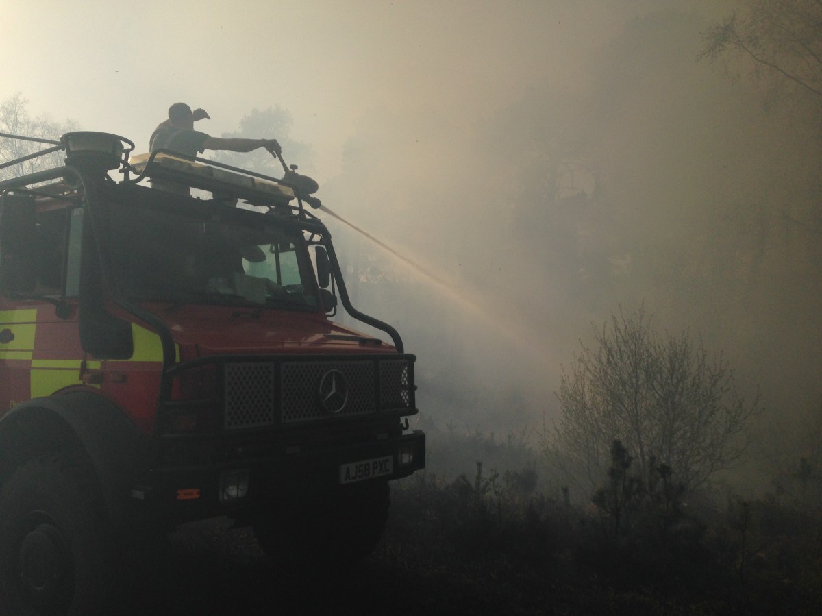 VIDEO, PICTURES: Fire in Pirbright | Surrey News