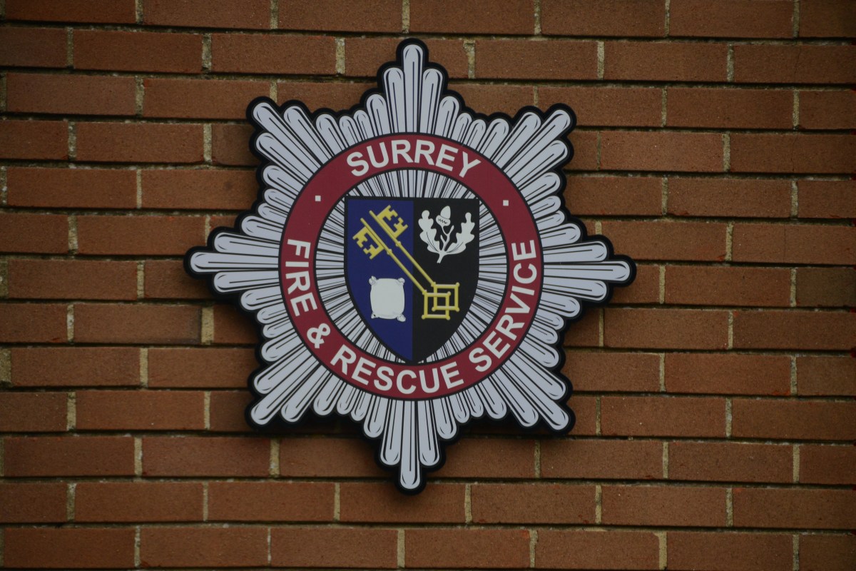 VIDEO: Cabinet member sets out plans to move Surrey’s fire and rescue ...