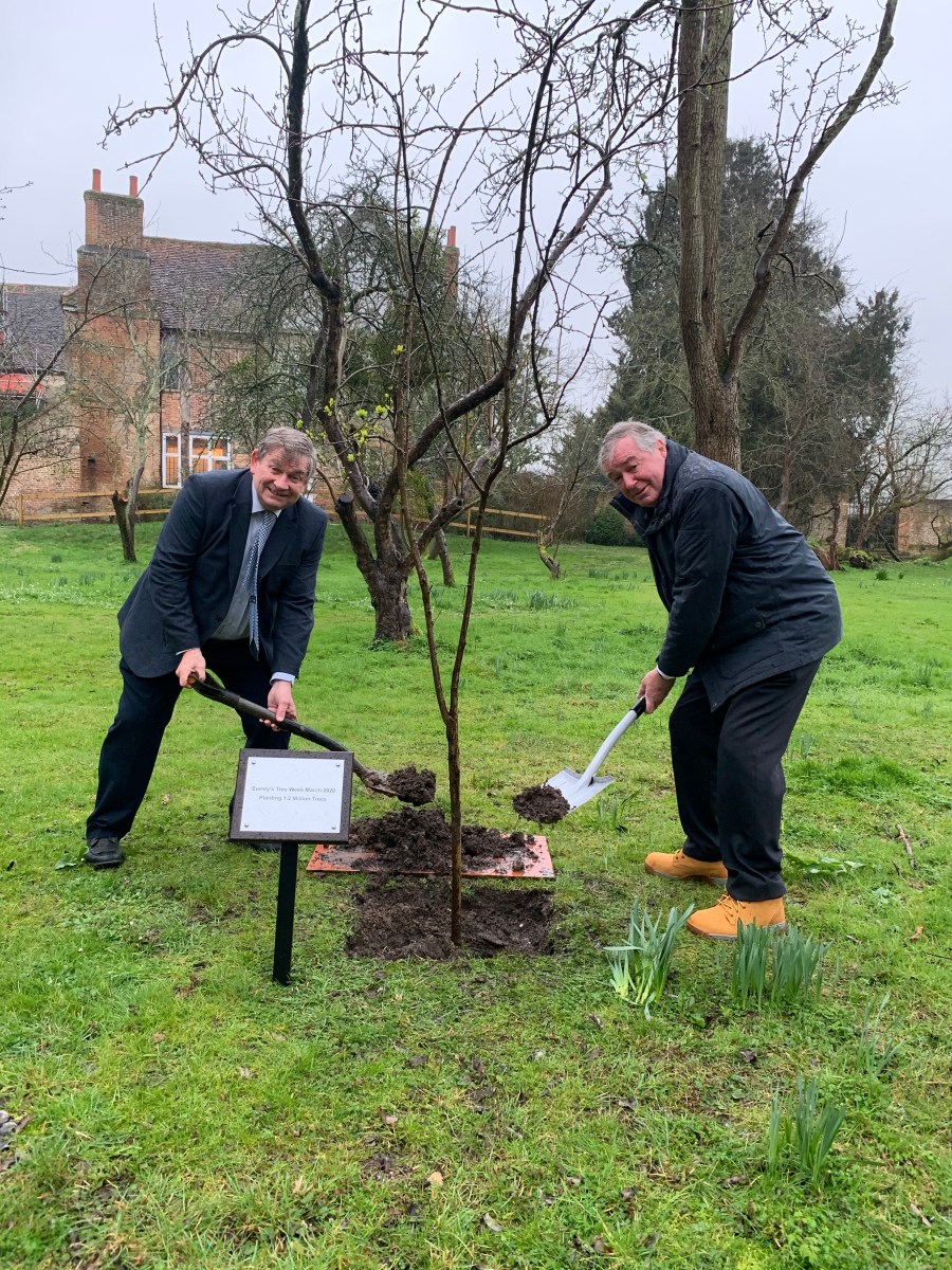 Surrey MPs support ambitious tree planting initiative to combat climate ...