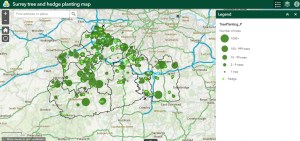 Online map launched to show Surrey’s tree planting | Surrey News
