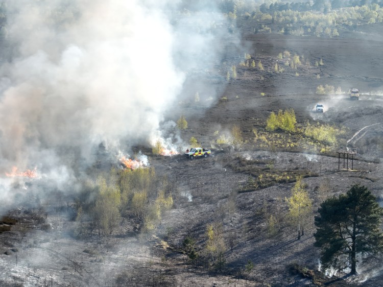 Surrey Fire and Rescue Service urges residents to be ‘Wildfire Aware ...